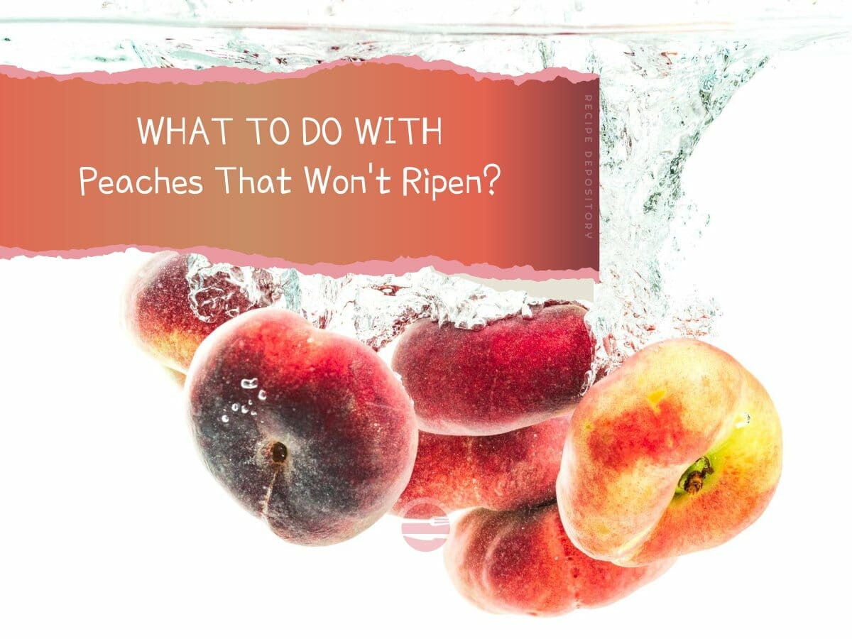 Unlock flavorful Food Pairings by Exploring What Goes with Raspberries