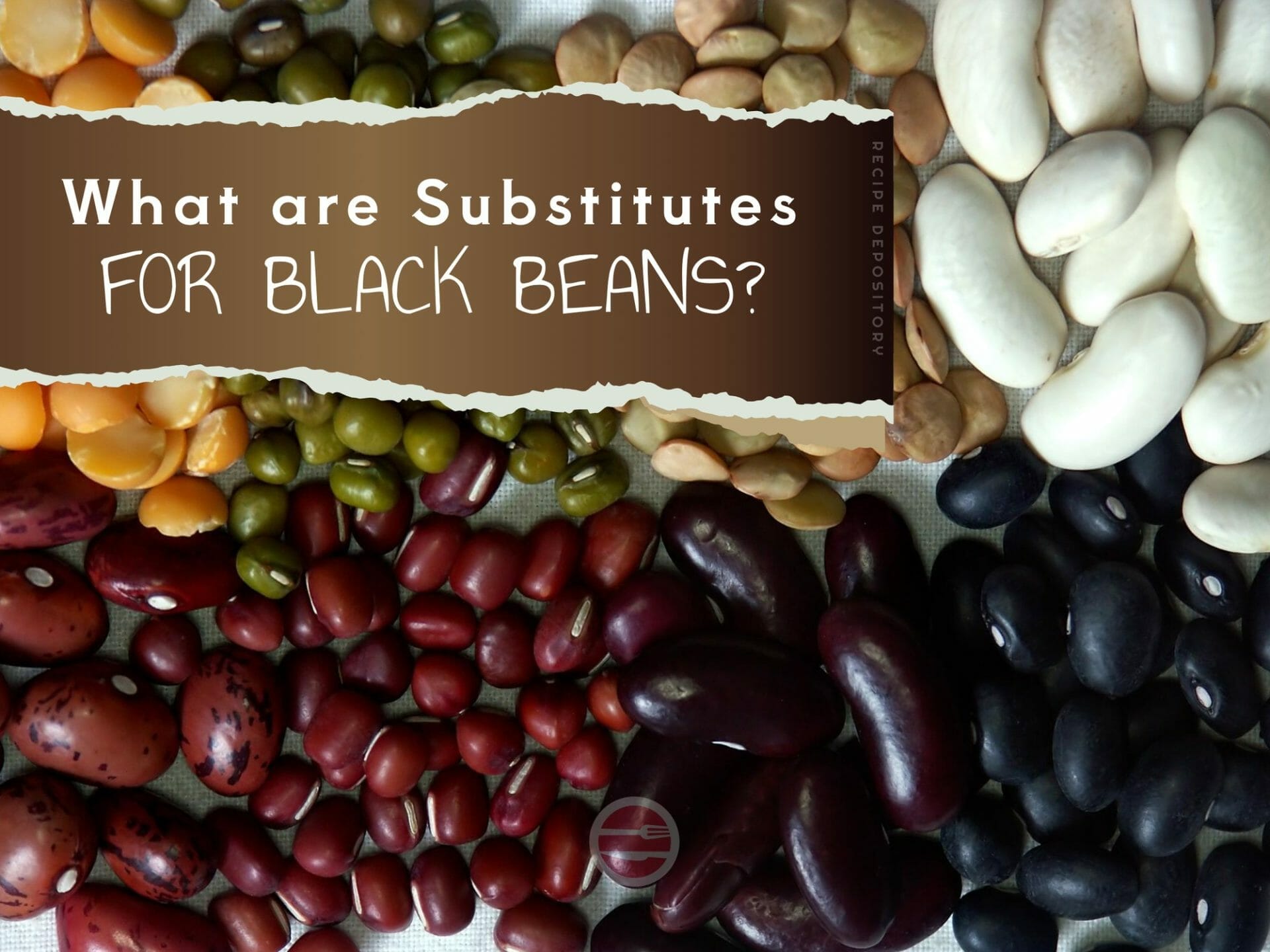 A Guide to Gourmet Greens: Uncovering Different Types of Bok Choy